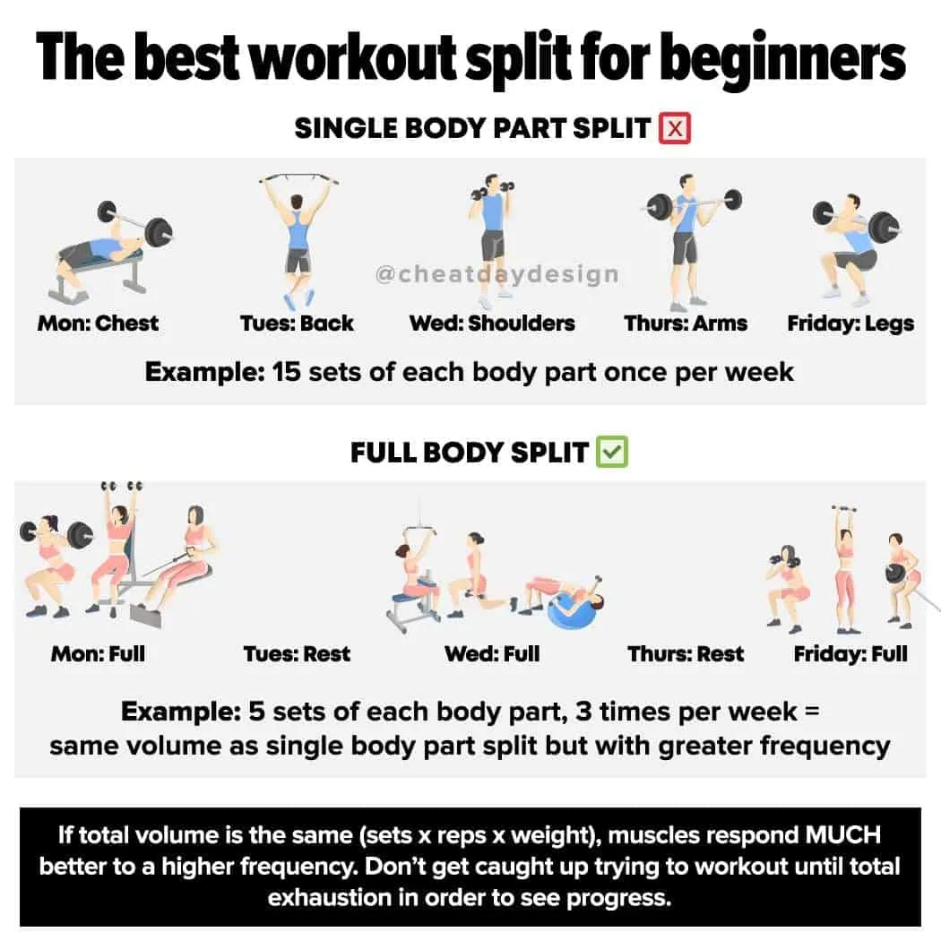 Best Split Body Workout Routines EOUA Blog Best Split Body Workout Routines EOUA Blog