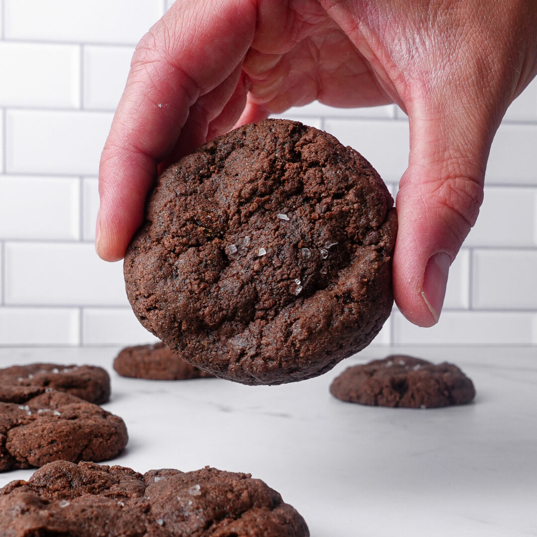 Fudgy Chocolate Protein Cookies