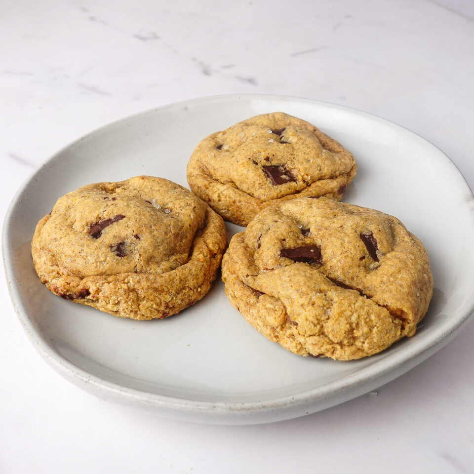 The BEST Homemade Chocolate Chip Protein Cookies