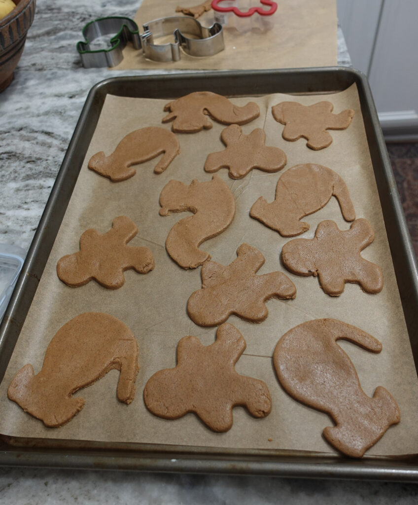 High-Protein Gingerbread Cookies (Gluten-Free)