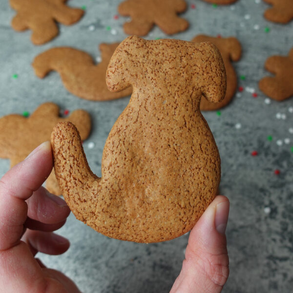 High-Protein Gingerbread Cookies (Gluten-Free)