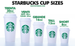 Starbucks Nutrition Calculator: Calories, Macros, & Caffeine