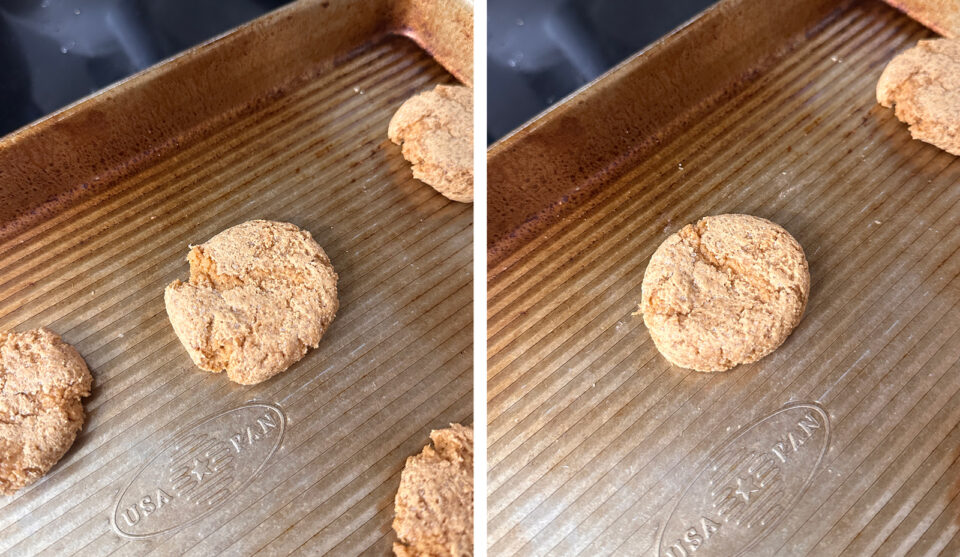 Powdered Peanut Butter Protein Cookies (PB2 Cookies)