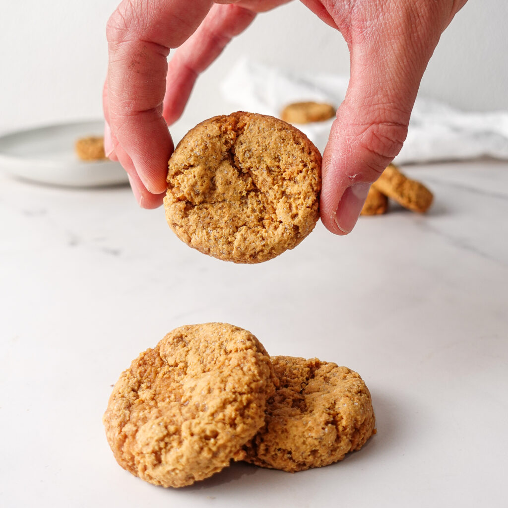 Powdered Peanut Butter Protein Cookies (PB2 Cookies)