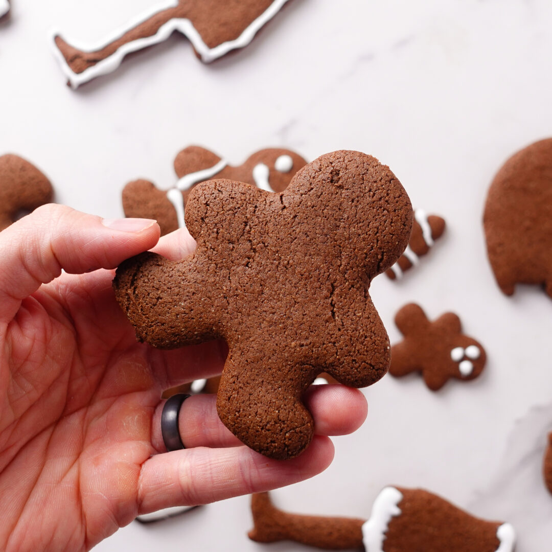 Chocolate Gingerbread Cookies (High-Protein)