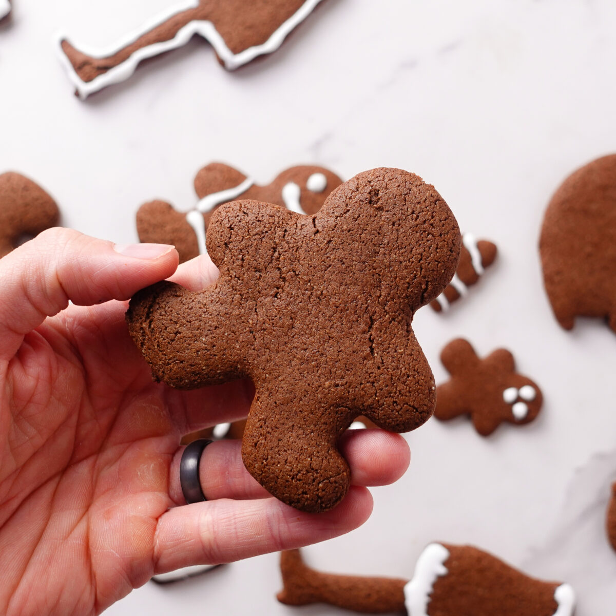Chocolate Gingerbread Cookies (High-Protein)