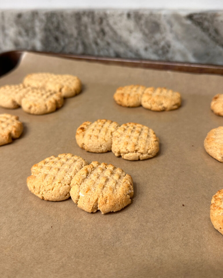 Protein Nutter Butter Cookies