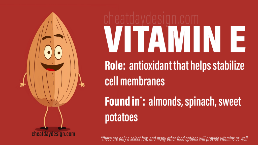 Visual Guide For All 13 Vitamins - COFE™