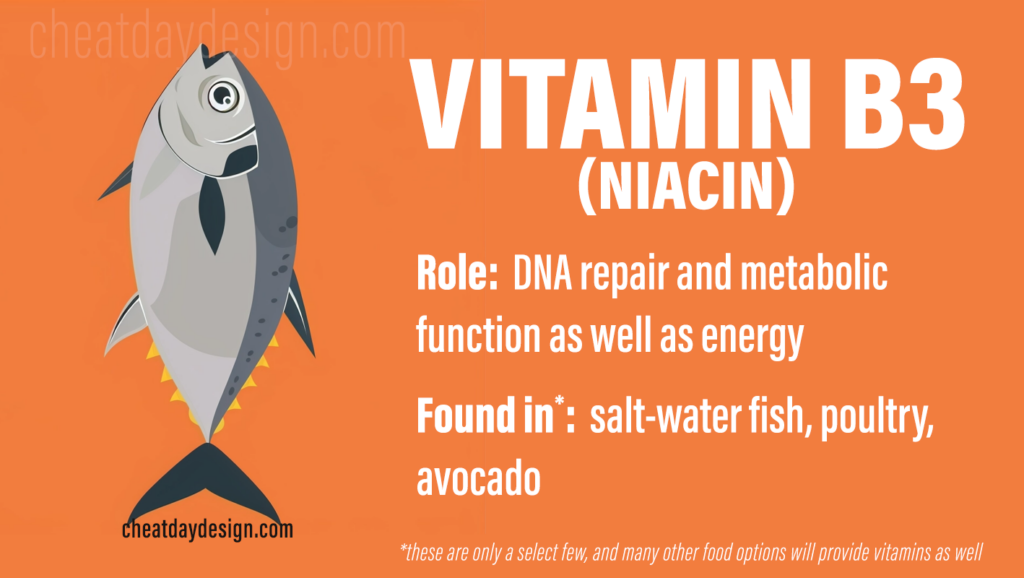 Vitamin Cheat Sheet: Visual Guide For All 13 Vitamins