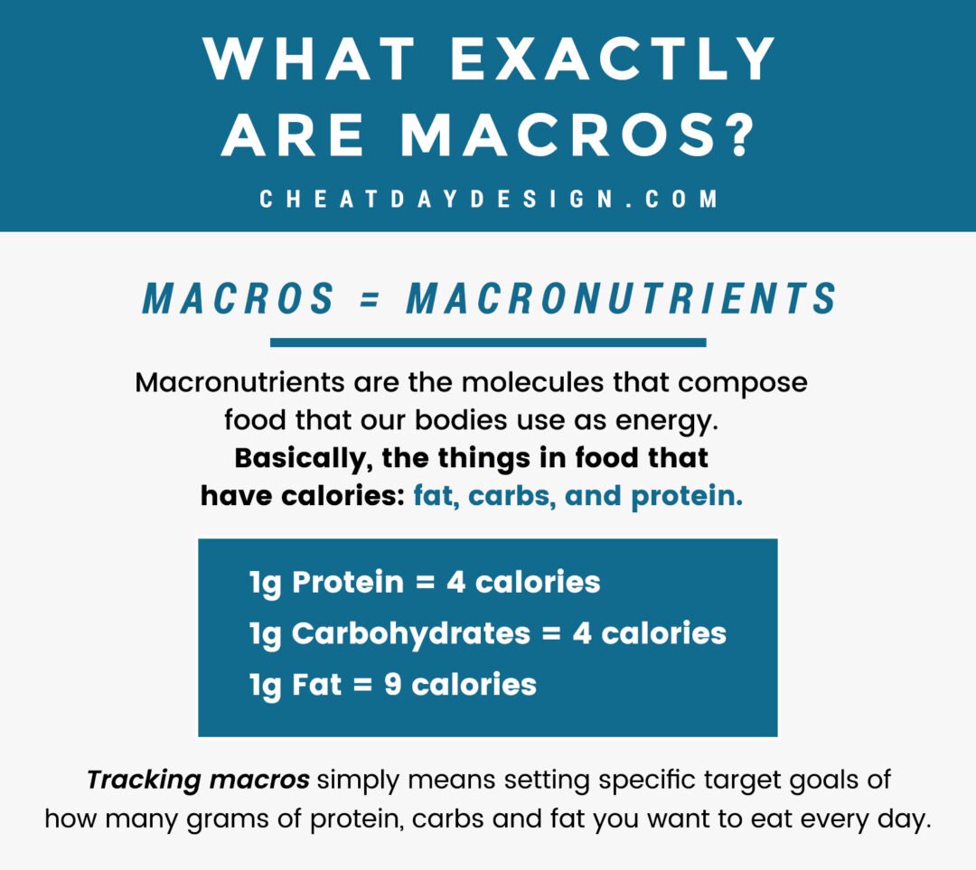 Should Collagen Count Towards Your Protein Macros?