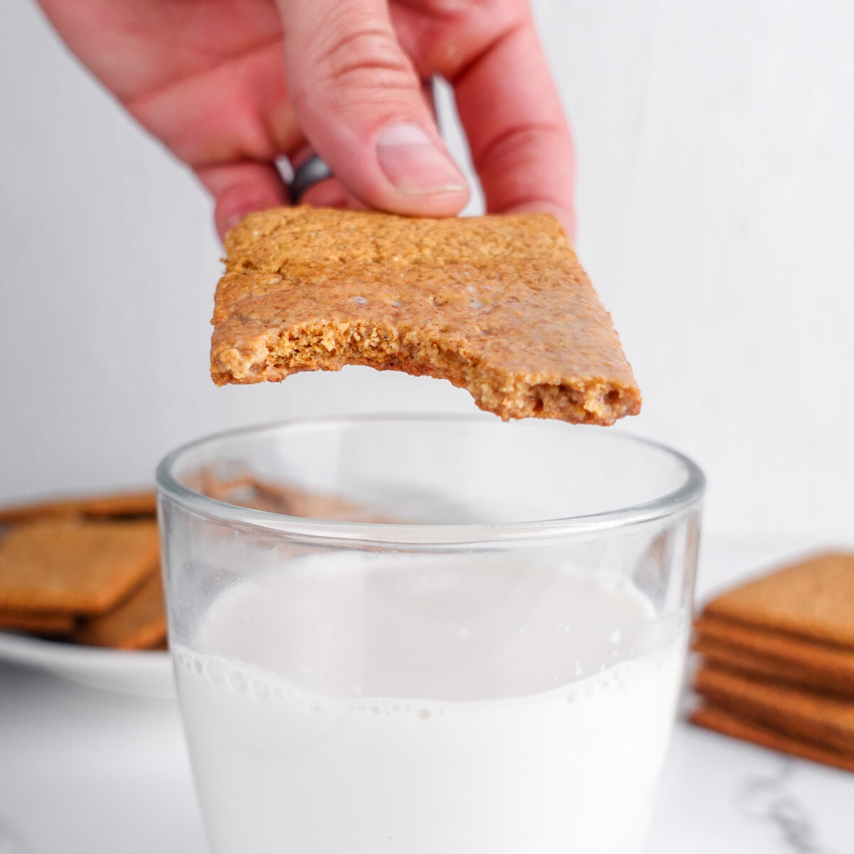 High-Protein Graham Crackers (2X The Protein!)